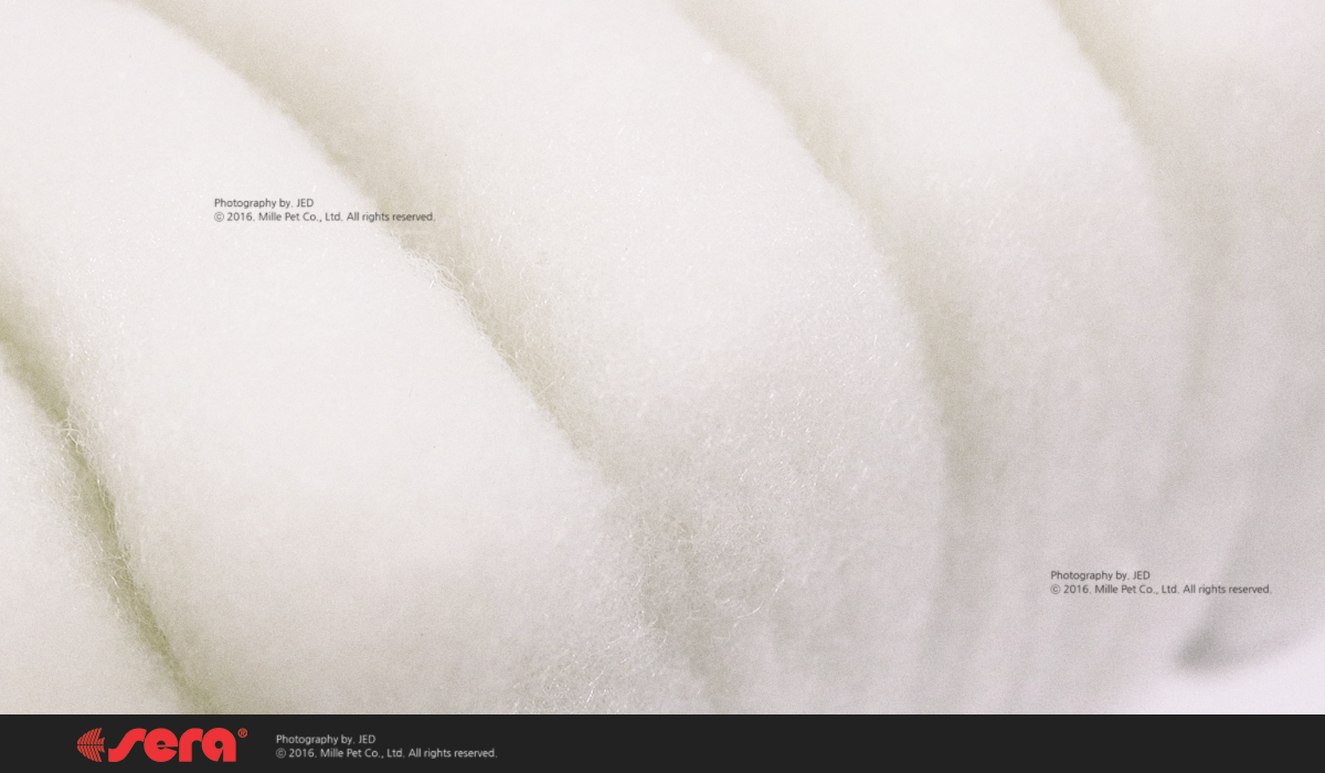 filter_wool_web_5 - (주)밀레펫